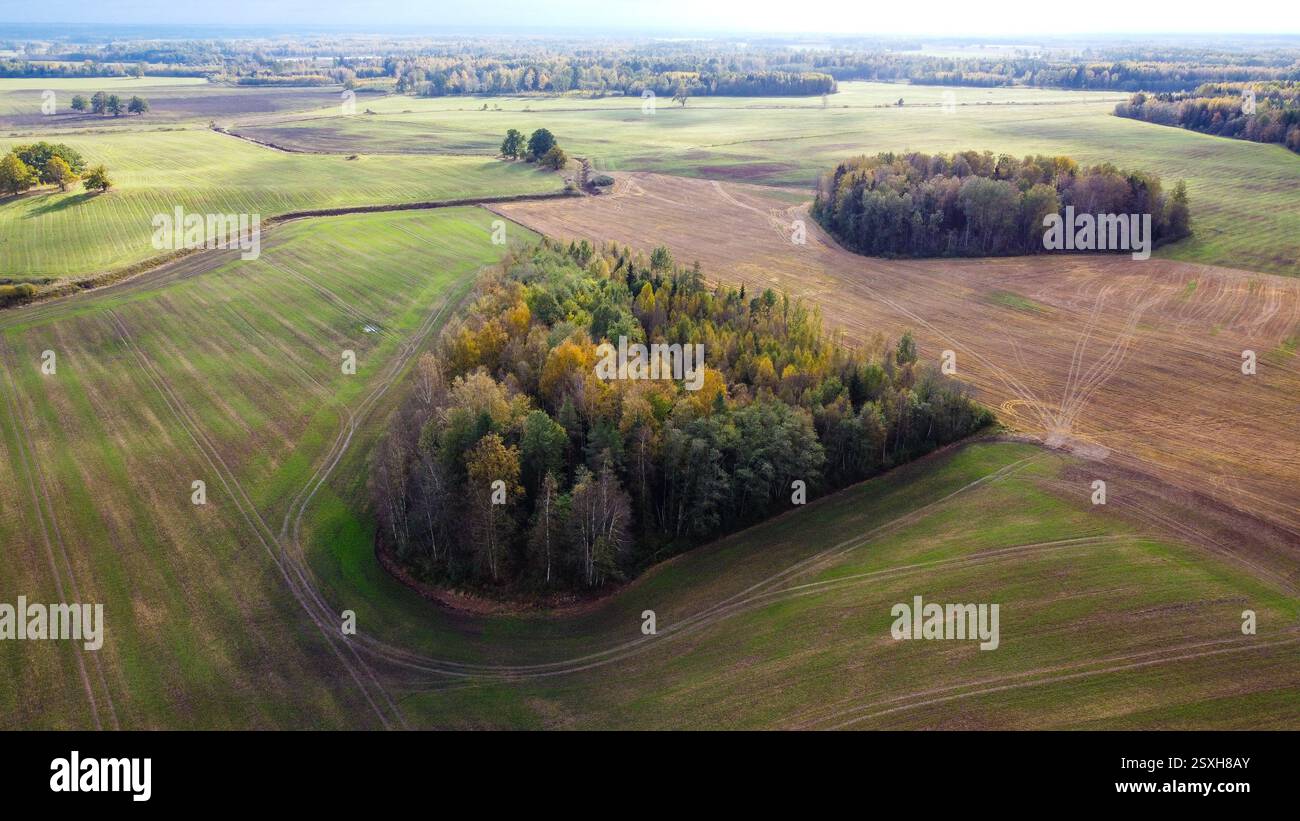 Aerial View of Rolling Farmlands with Patches of Autumn Forests in ...