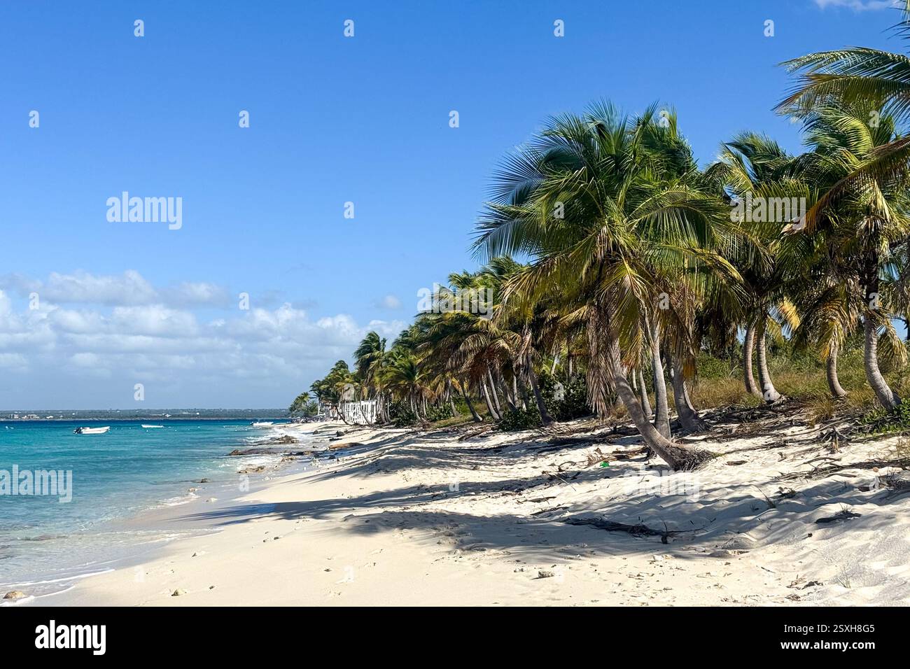 Beach on Isla Catalina, Dominican Republic. High quality photo Stock ...