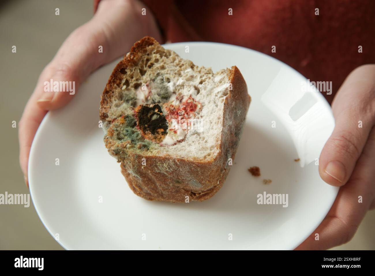 Red bread mold hi-res stock photography and images - Alamy