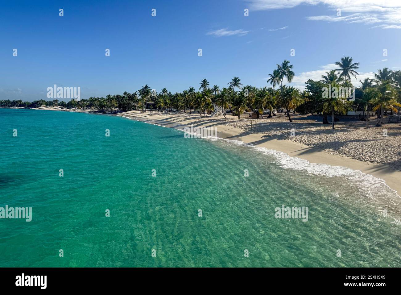 Beach on Isla Catalina, Dominican Republic. High quality photo Stock ...