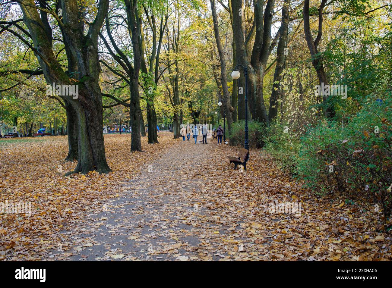 Solacki park in poznan autumn hi-res stock photography and images - Alamy