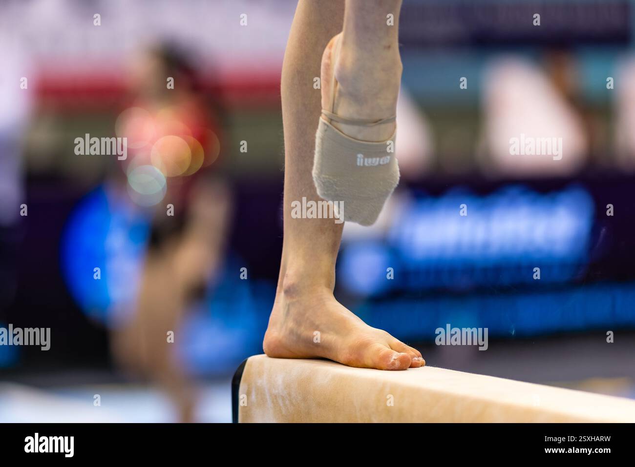 Cottbus, Germany. 23rd Feb, 2025. Gymnastics, World Cup, Tournament of ...