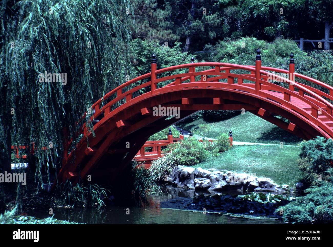 San Marino CA USA 1982. Huntington Library, Art Museum, and Botanical ...