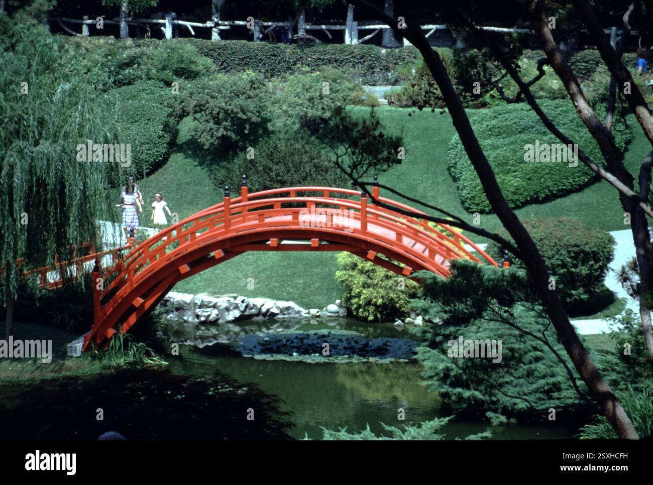 San Marino CA USA 1982. Huntington Library, Art Museum, and Botanical ...
