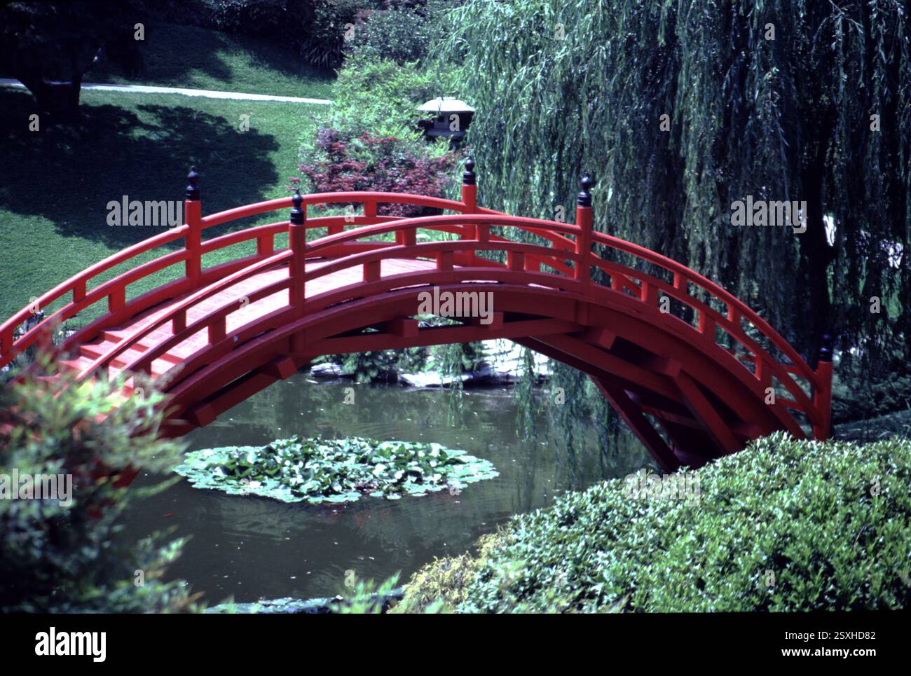 San Marino CA USA 1982. Huntington Library, Art Museum, and Botanical ...