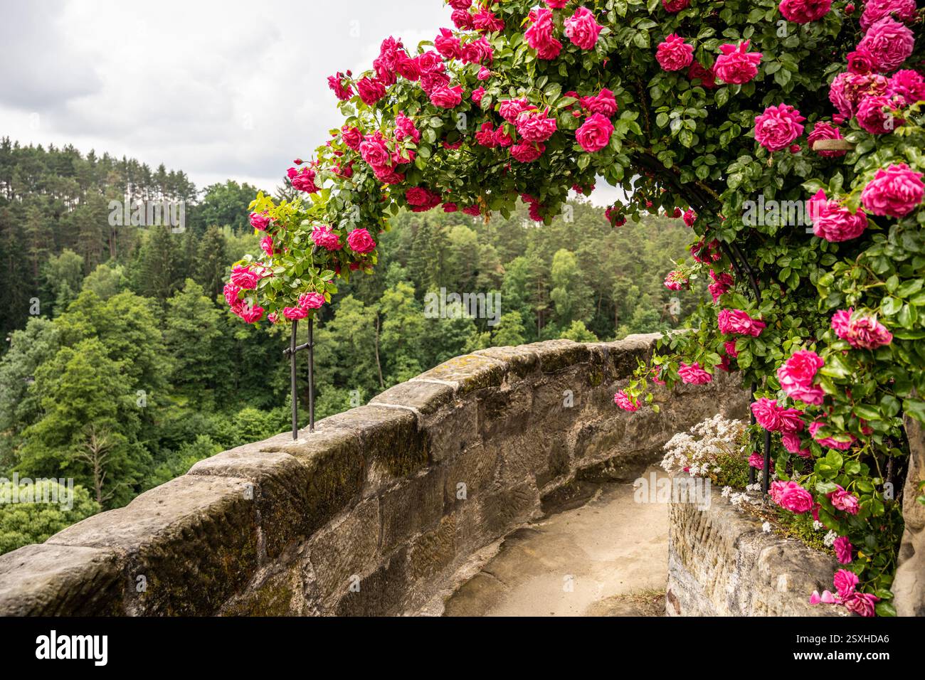 A stunning gate draped in bright pink roses welcomes visitors. It ...