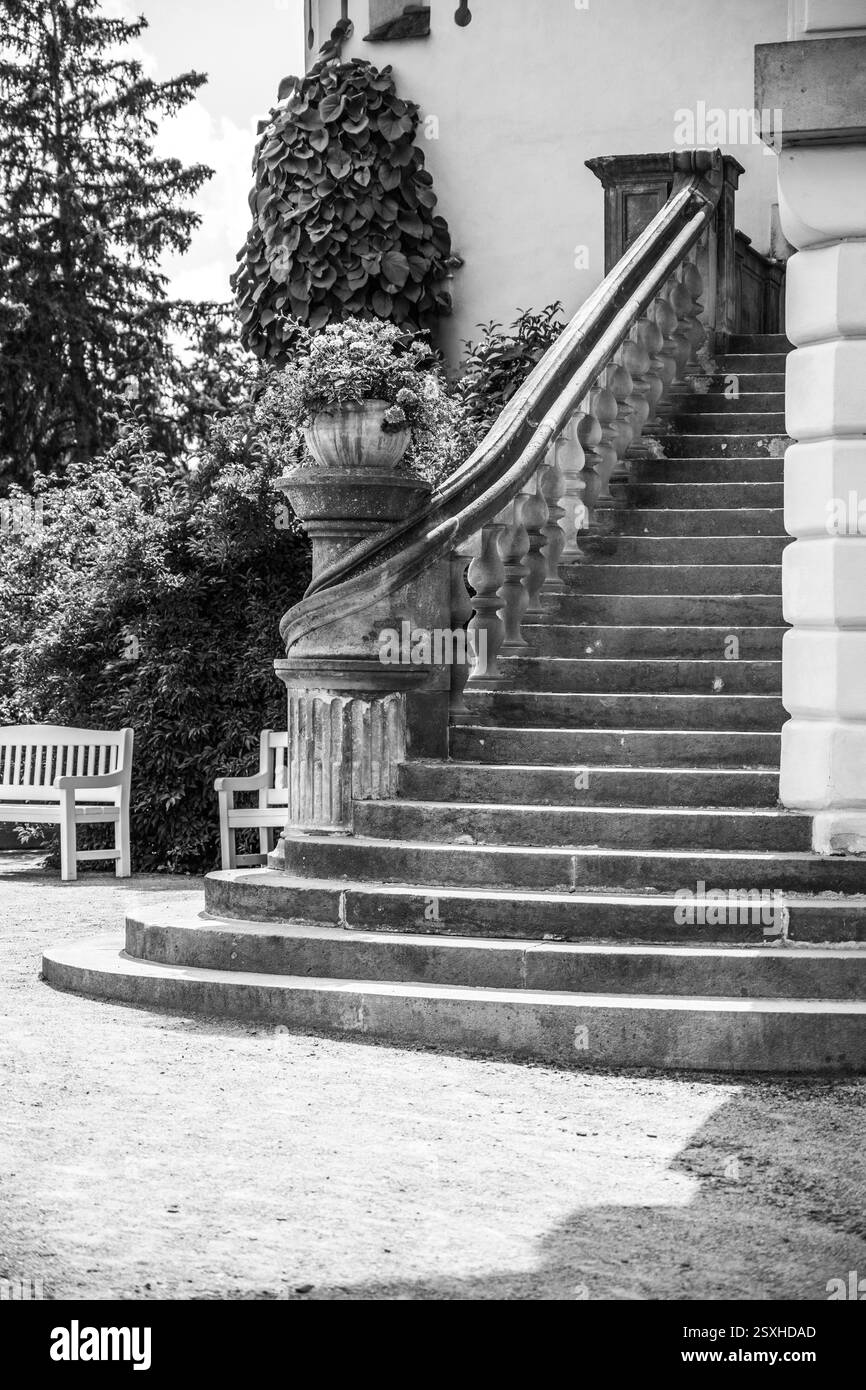 This graceful staircase features ornate railings and leads to an ...