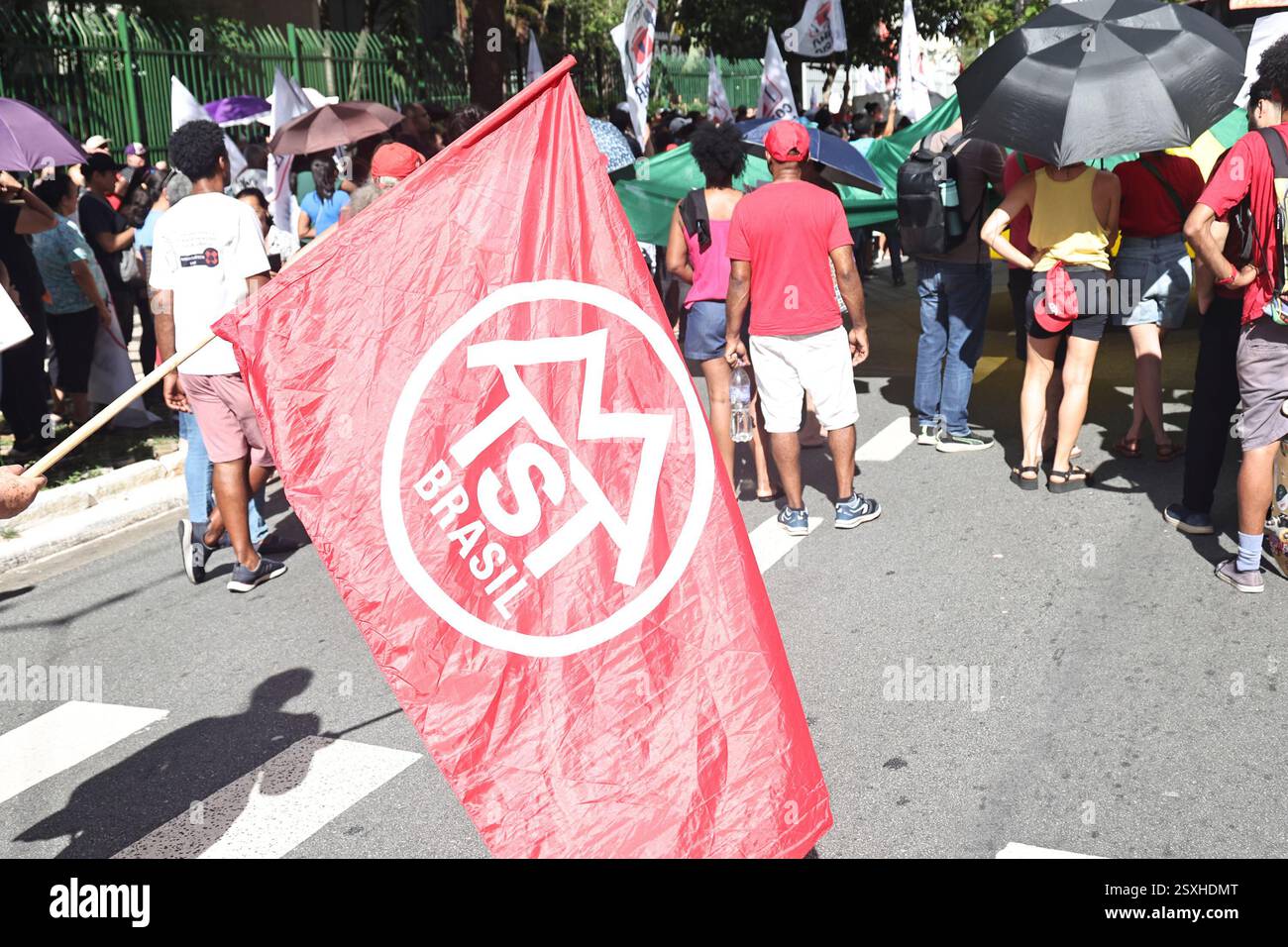 February 24, 2025, Sao Paulo, Sao Paulo, Brasil: Sao Paulo (SP), 02/24 ...