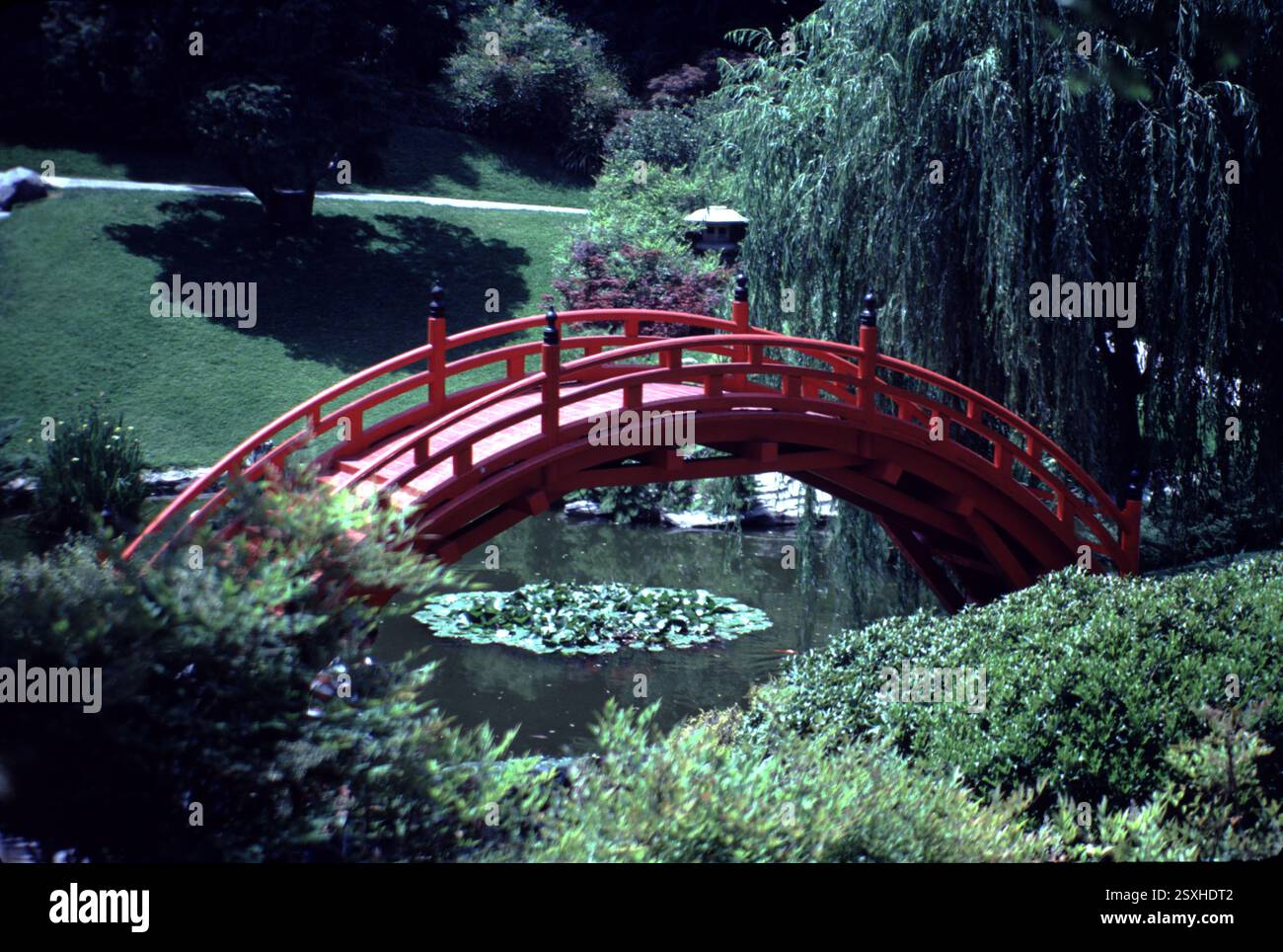 Huntington library art museum and botanical gardens hi-res stock ...