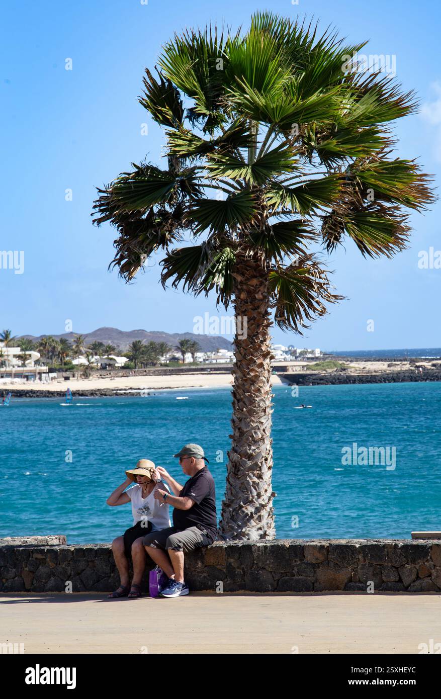Couple sit under palm hi-res stock photography and images - Alamy