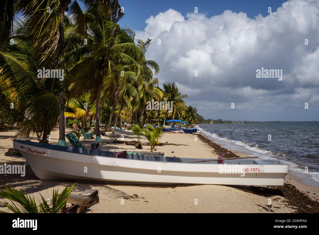 Boat on the beach in Hopkins, Belize Stock Photo - Alamy