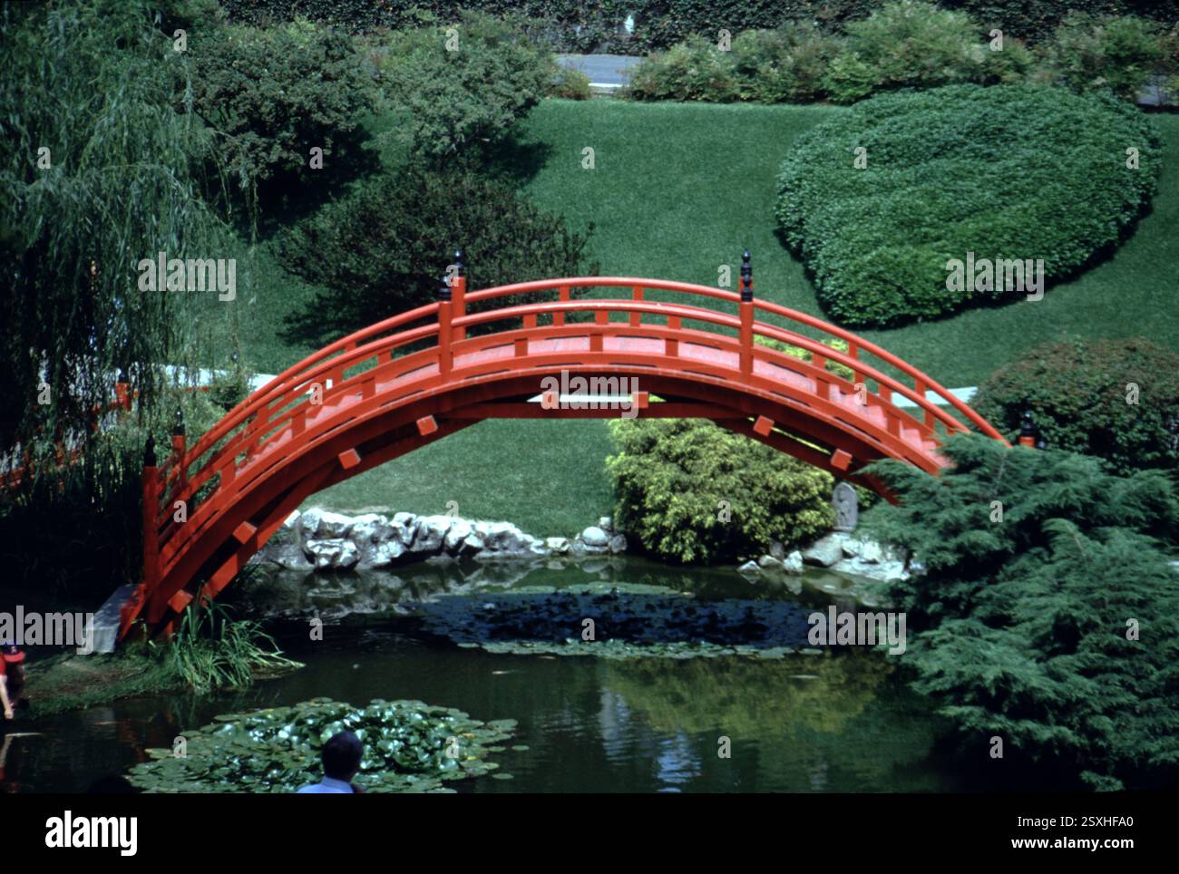San Marino CA USA 1982. Huntington Library, Art Museum, and Botanical ...
