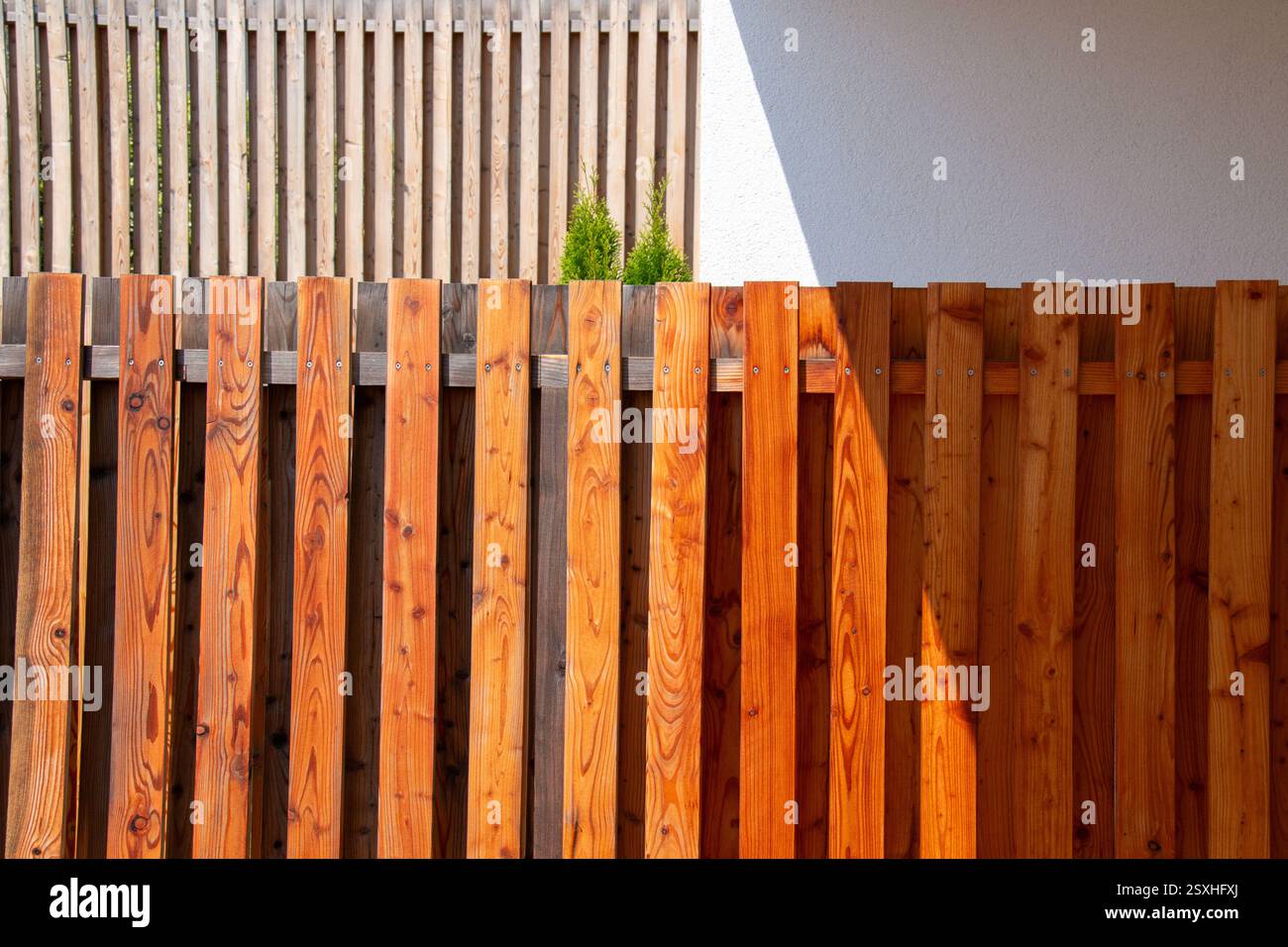 Pine Wood fencing for privacy with natural wooden texture and grain ...