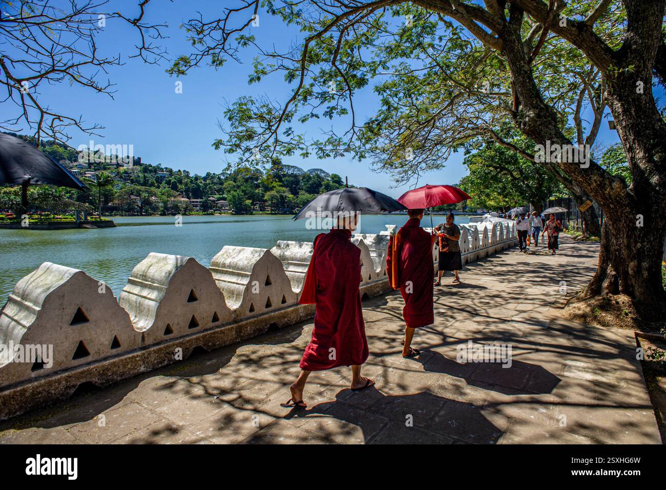 Buddhist monks in orange robes with umbrellas shielding them from the ...