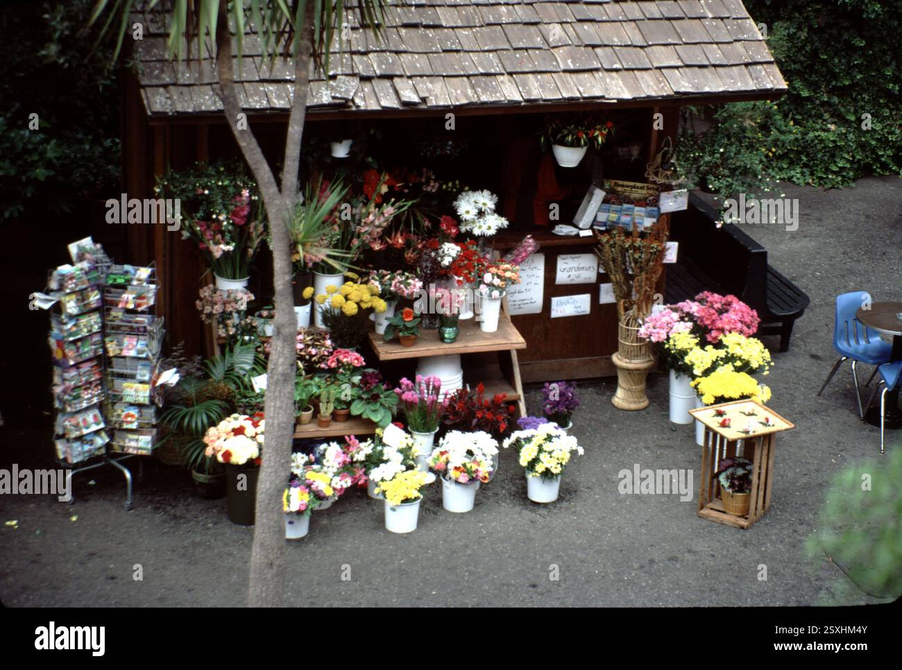 San Francisco, CA. USA. 1982. Fisherman’s Wharf seafood street vendors ...