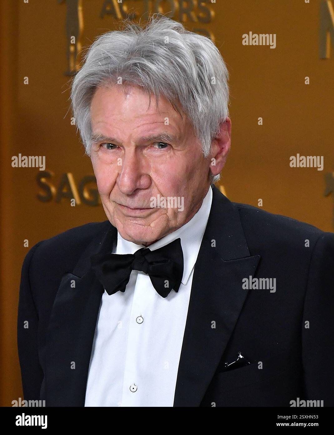 Harrison Ford attends the 31st Annual Screen Actors Guild Awards at ...