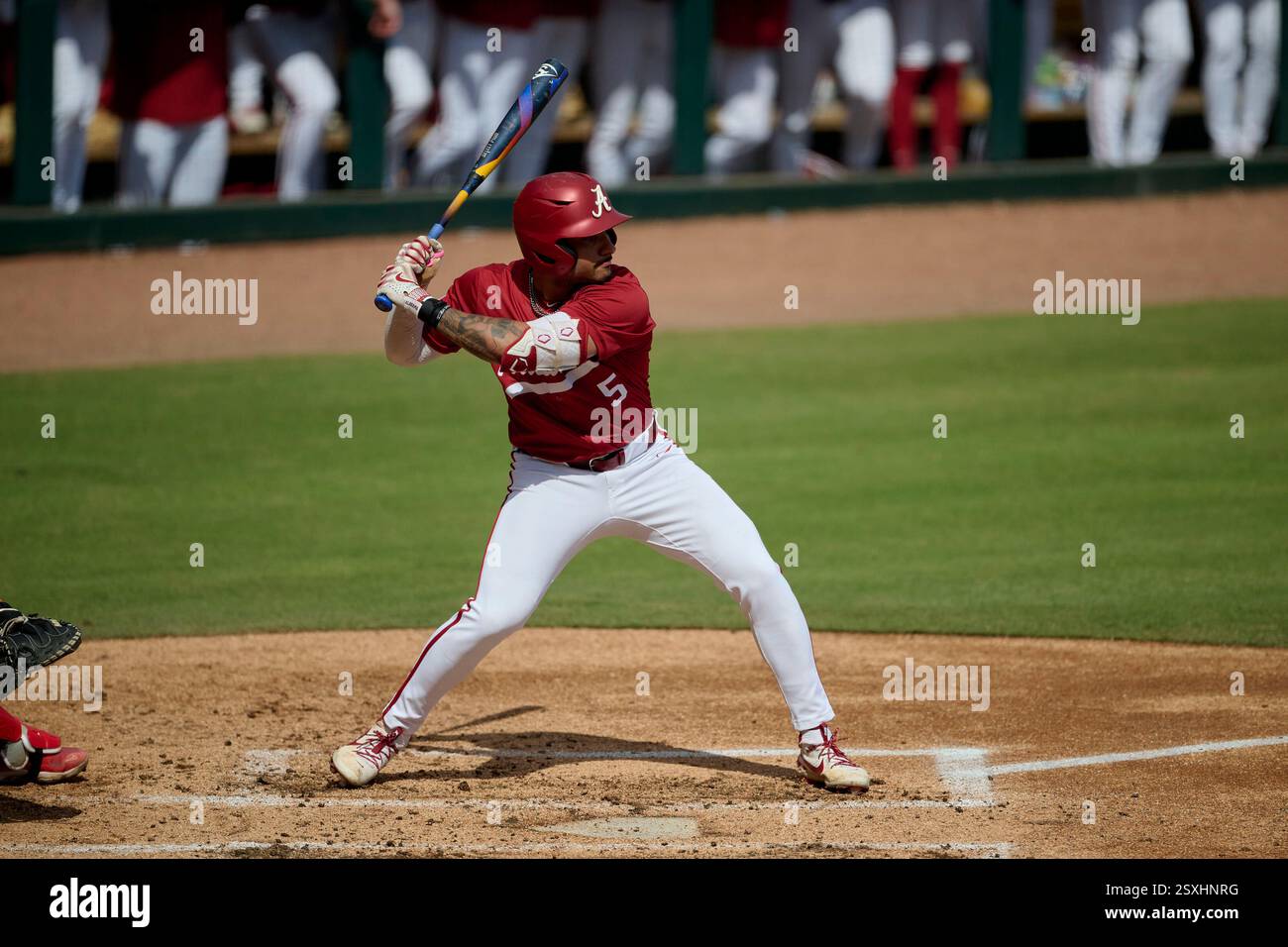 Alabama Crimson Tide Richie Bonomolo Jr. (5) at bat during an NCAA ...