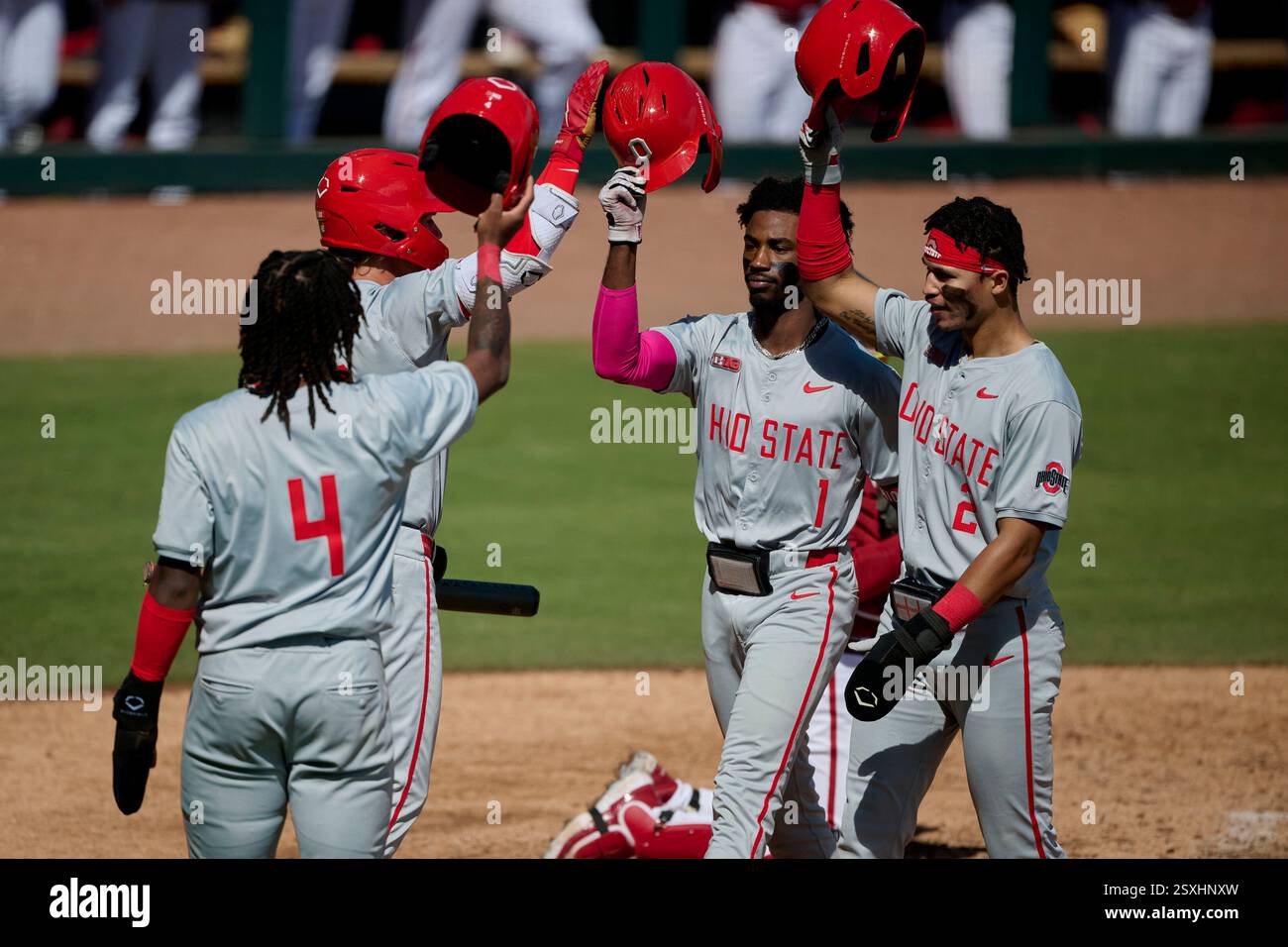 Ohio State Buckeyes Lee Ellis (1) celebrates hitting a home run with ...