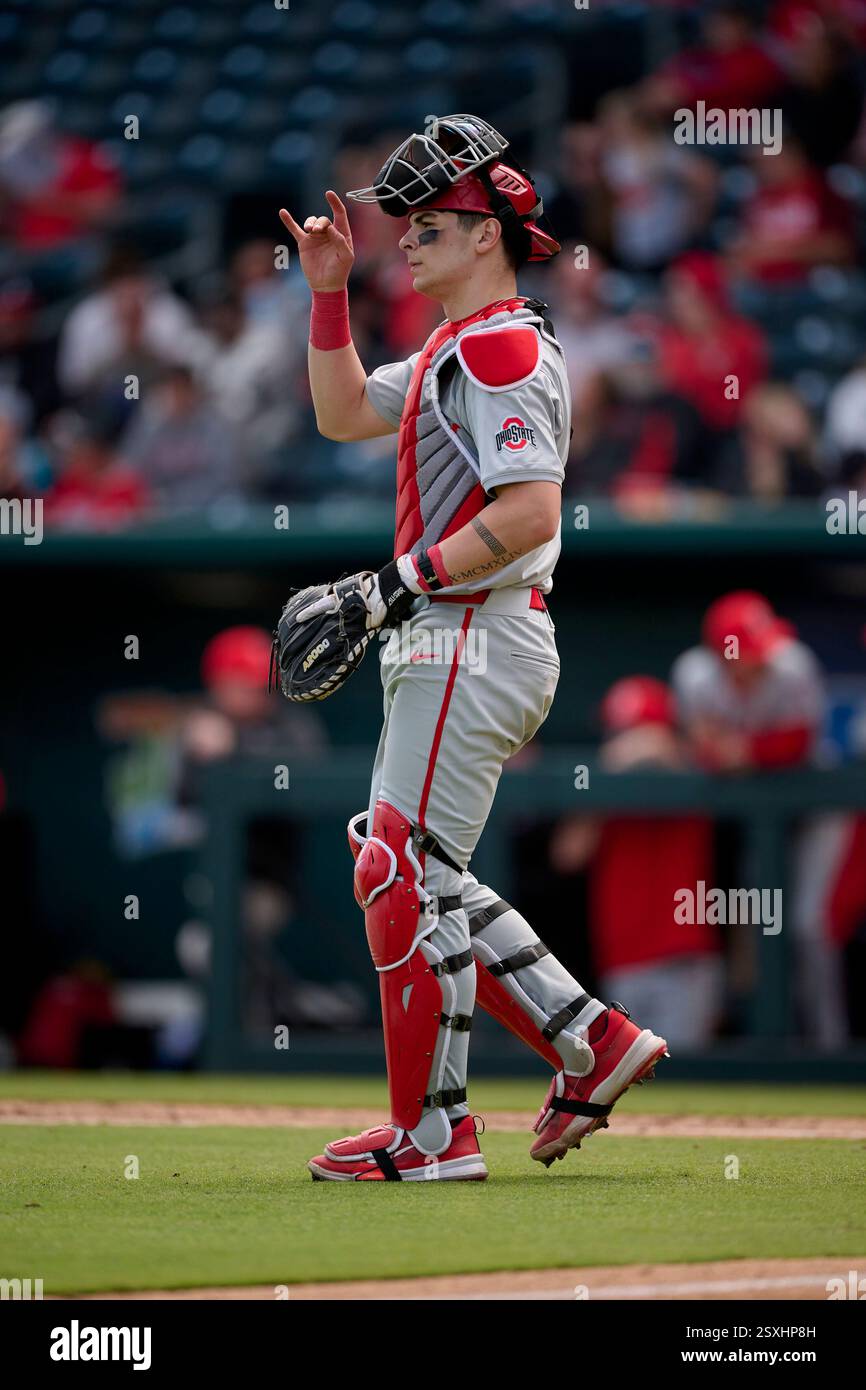 Ohio State Buckeyes catcher Mason Eckelman (16) during an NCAA baseball ...