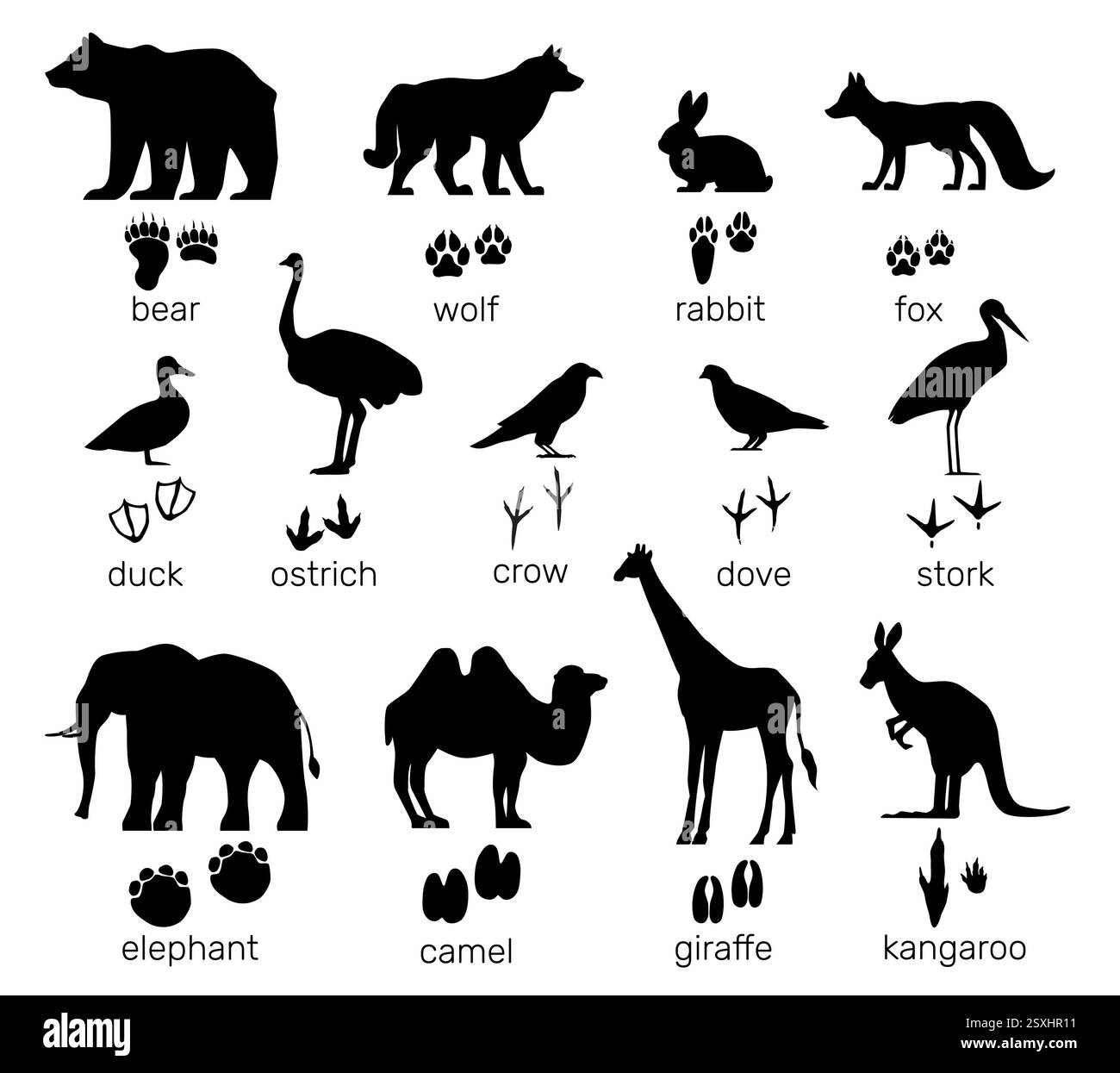 Animals shapes with footprints. Mammal and birds paw prints. Black ...