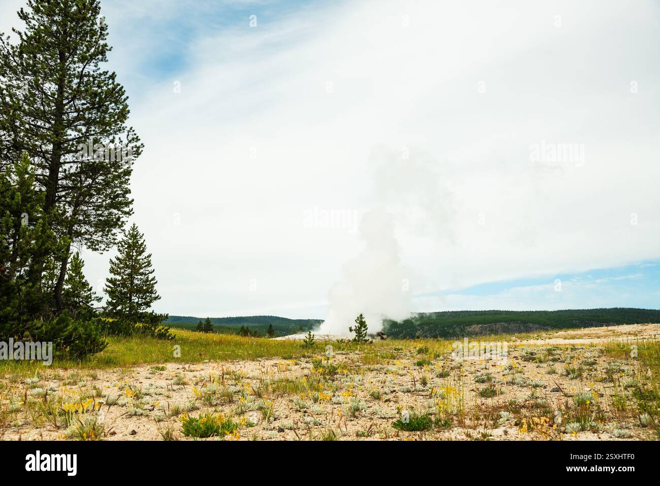 Old Faithful geyser erupting in Yellowstone’s landscape Stock Photo - Alamy