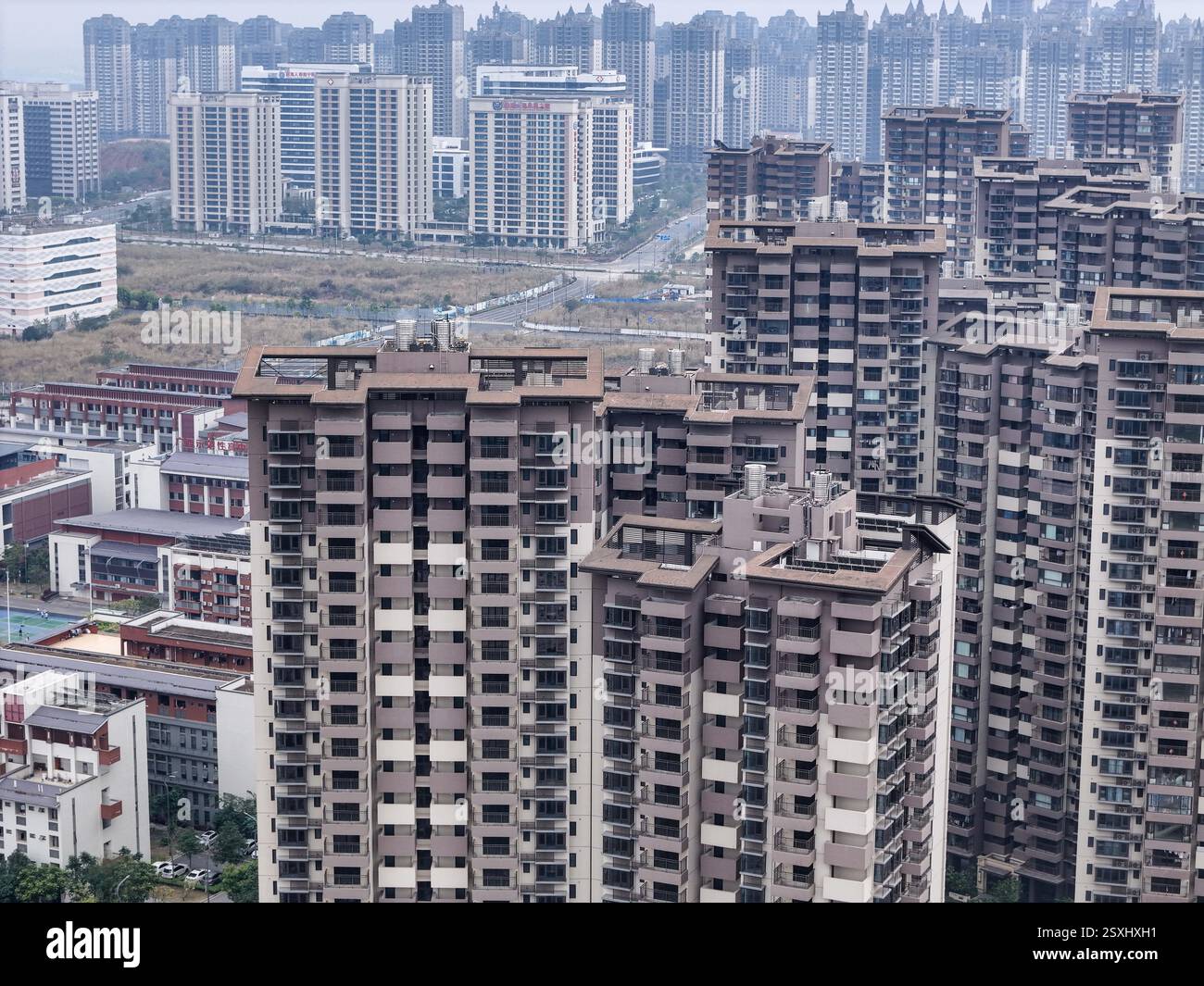 NANNING, CHINA - FEBRUARY 24, 2025 - Photo taken on February 24, 2025 ...
