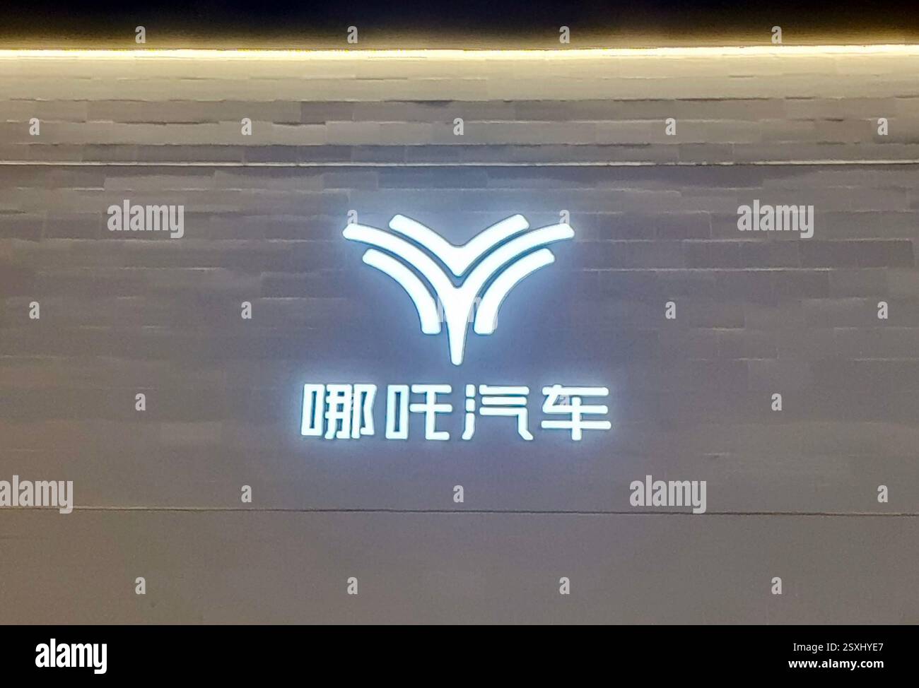 Shanghai, China. 25th Feb, 2025. SHANGHAI, CHINA - FEBRUARY 24, 2025 ...