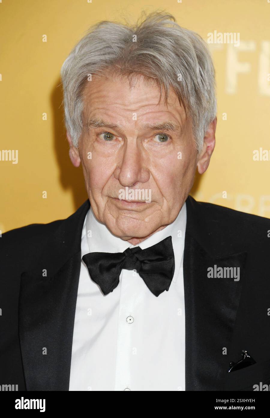 LOS ANGELES, CALIFORNIA - FEBRUARY 23: Harrison Ford attends the 31st ...