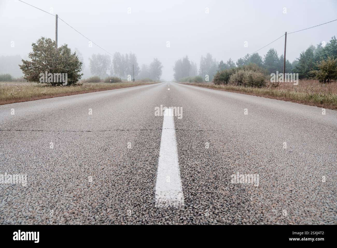 A lonely asphalted road with a continuous line in the morning with fog ...