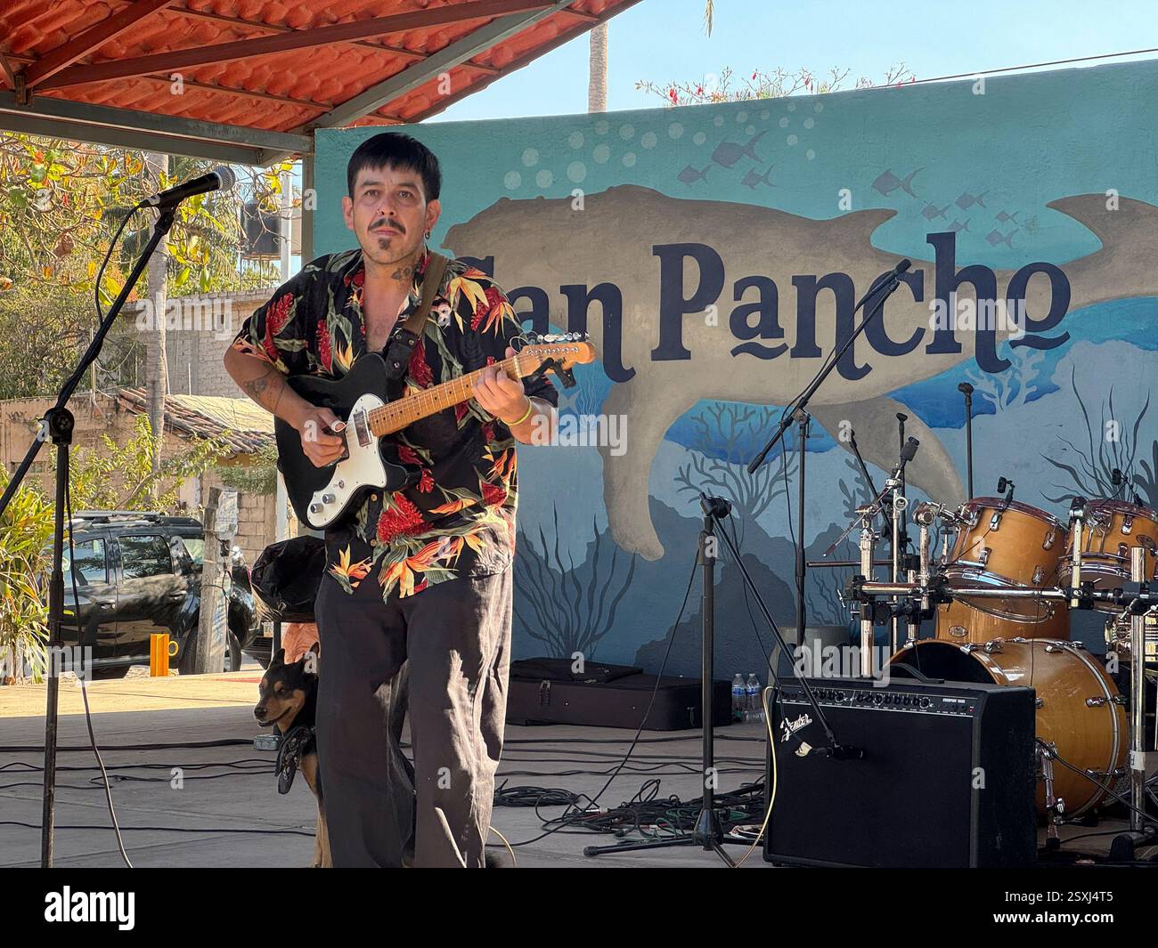 Zeze performs on stage at day 2 of the San Pancho Music Festival at ...