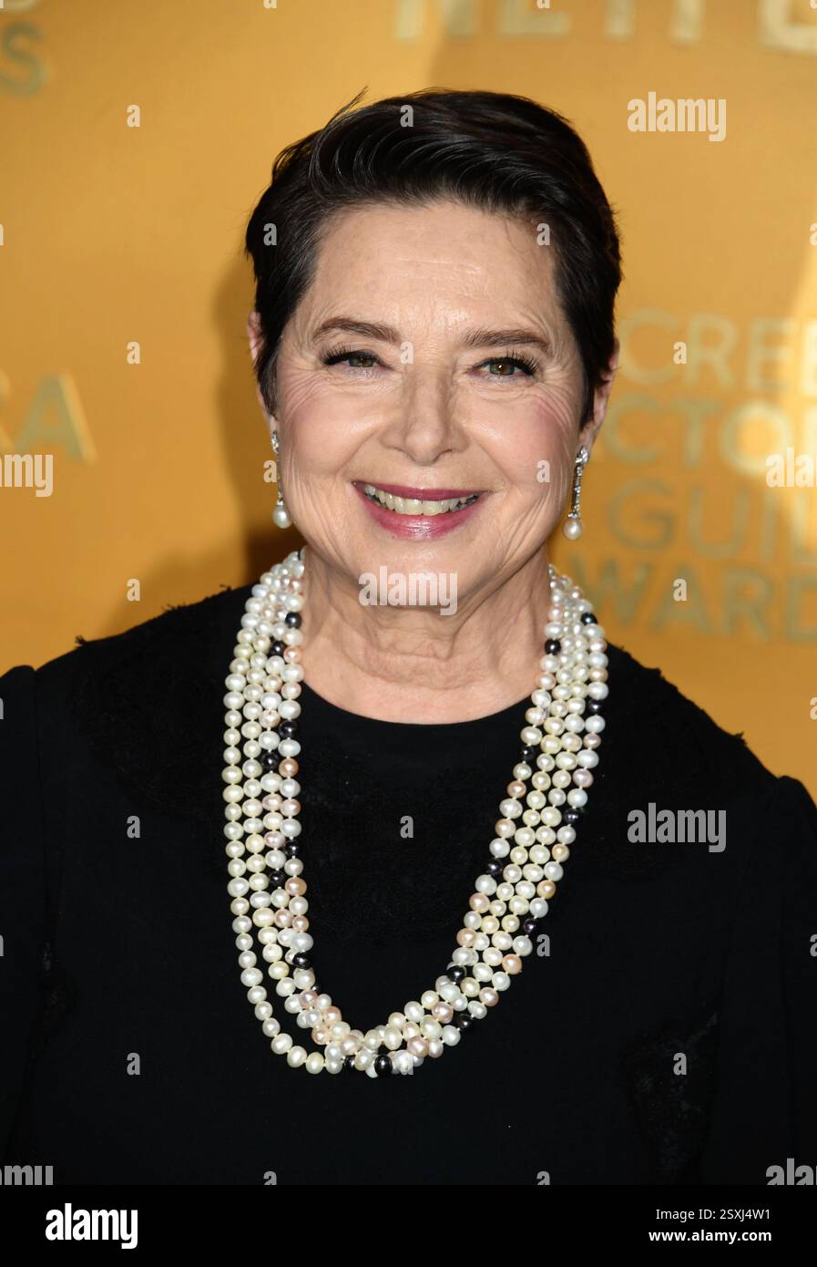 LOS ANGELES, CALIFORNIA - FEBRUARY 23: Isabella Rossellini attends the ...
