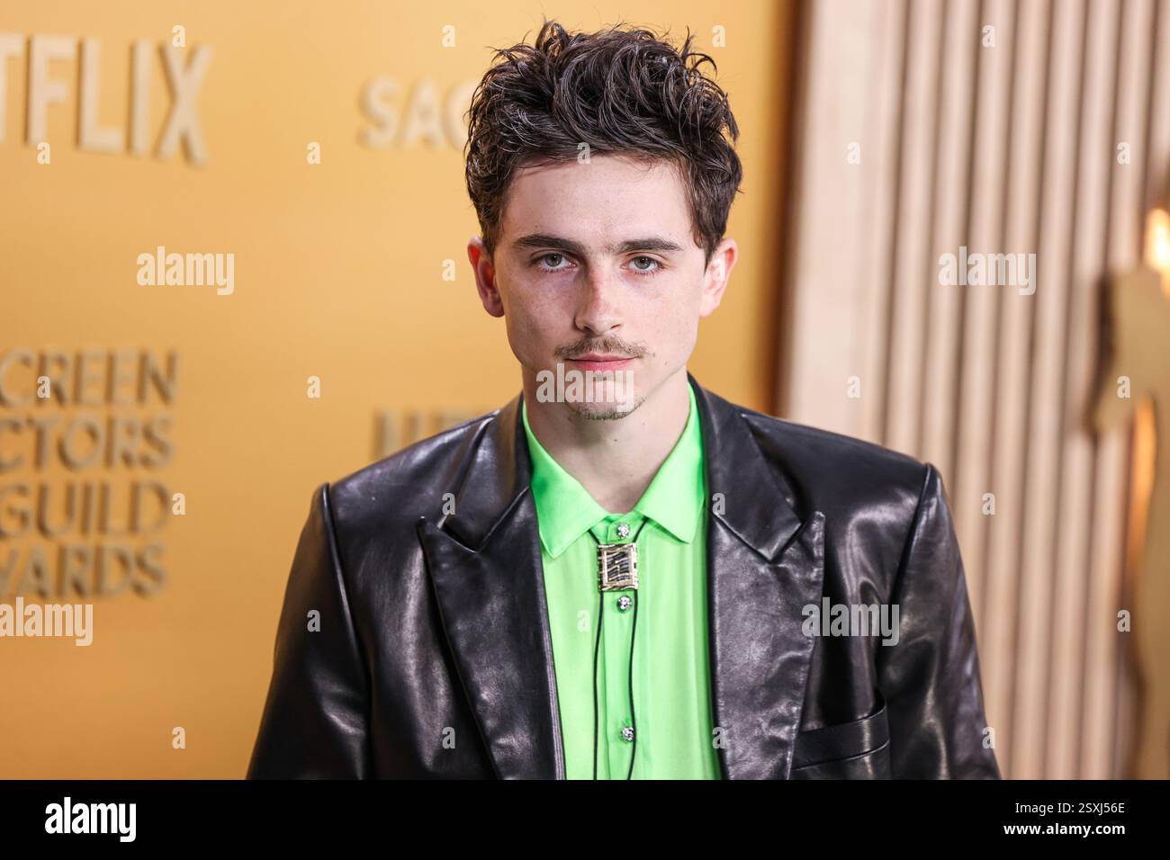 LOS ANGELES, CALIFORNIA, USA - FEBRUARY 23: Timothee Chalamet wearing a ...