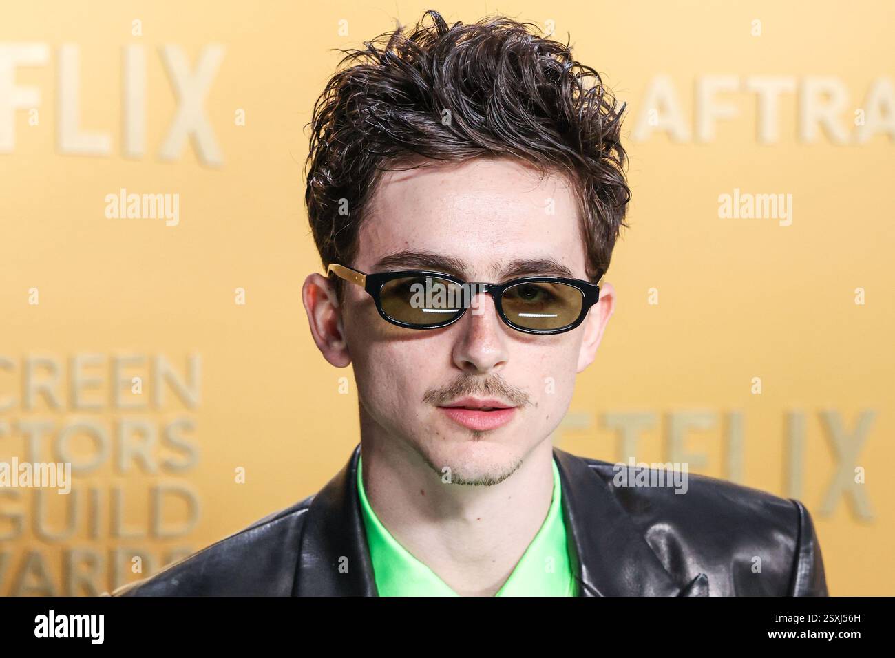 LOS ANGELES, CALIFORNIA, USA - FEBRUARY 23: Timothee Chalamet wearing a ...