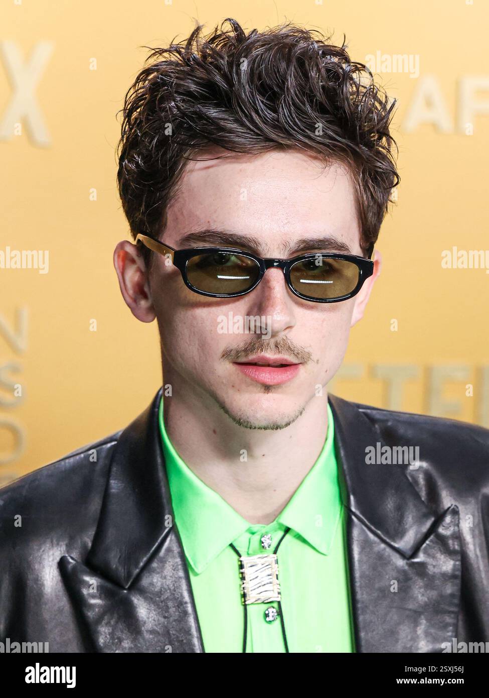 LOS ANGELES, CALIFORNIA, USA - FEBRUARY 23: Timothee Chalamet wearing a full Chrome Hearts look ...