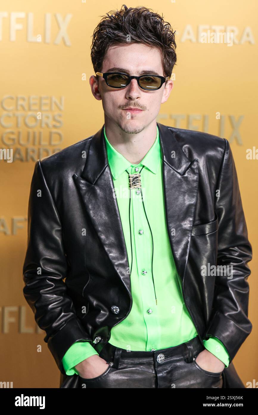 LOS ANGELES, CALIFORNIA, USA - FEBRUARY 23: Timothee Chalamet wearing a ...