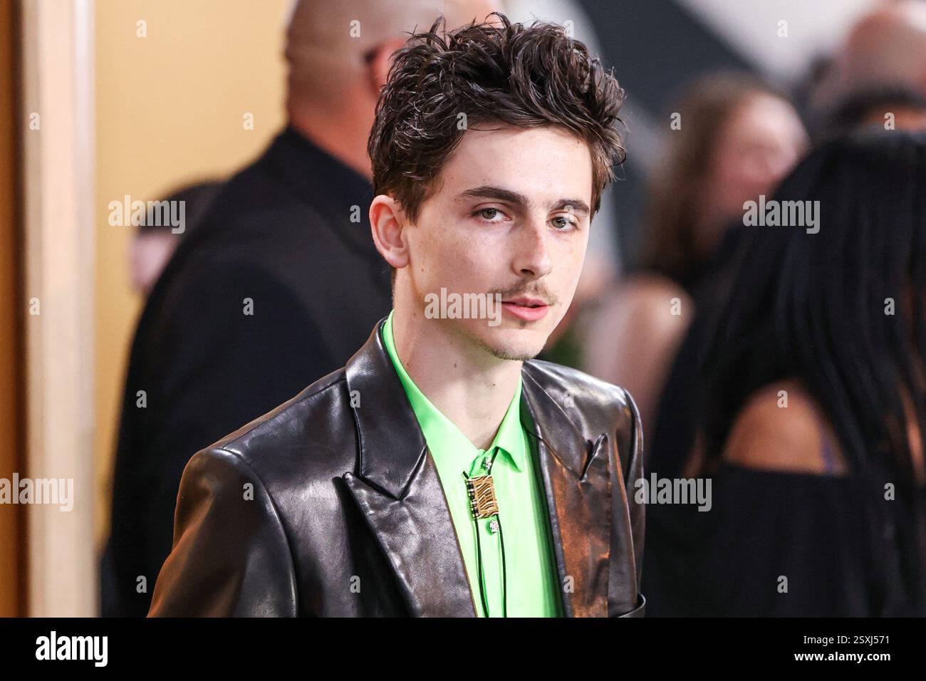 LOS ANGELES, CALIFORNIA, USA - FEBRUARY 23: Timothee Chalamet wearing a ...