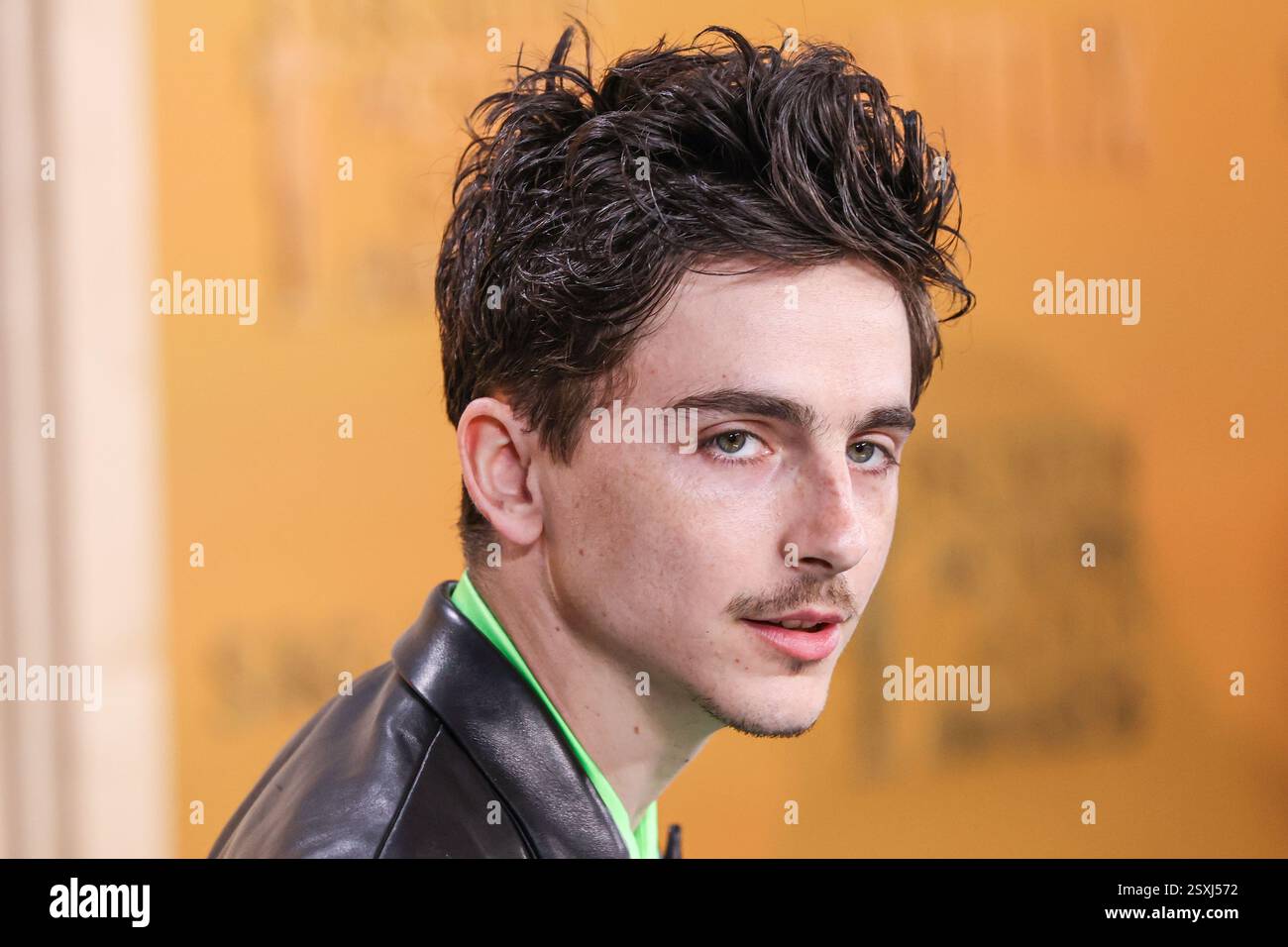 LOS ANGELES, CALIFORNIA, USA - FEBRUARY 23: Timothee Chalamet wearing a ...