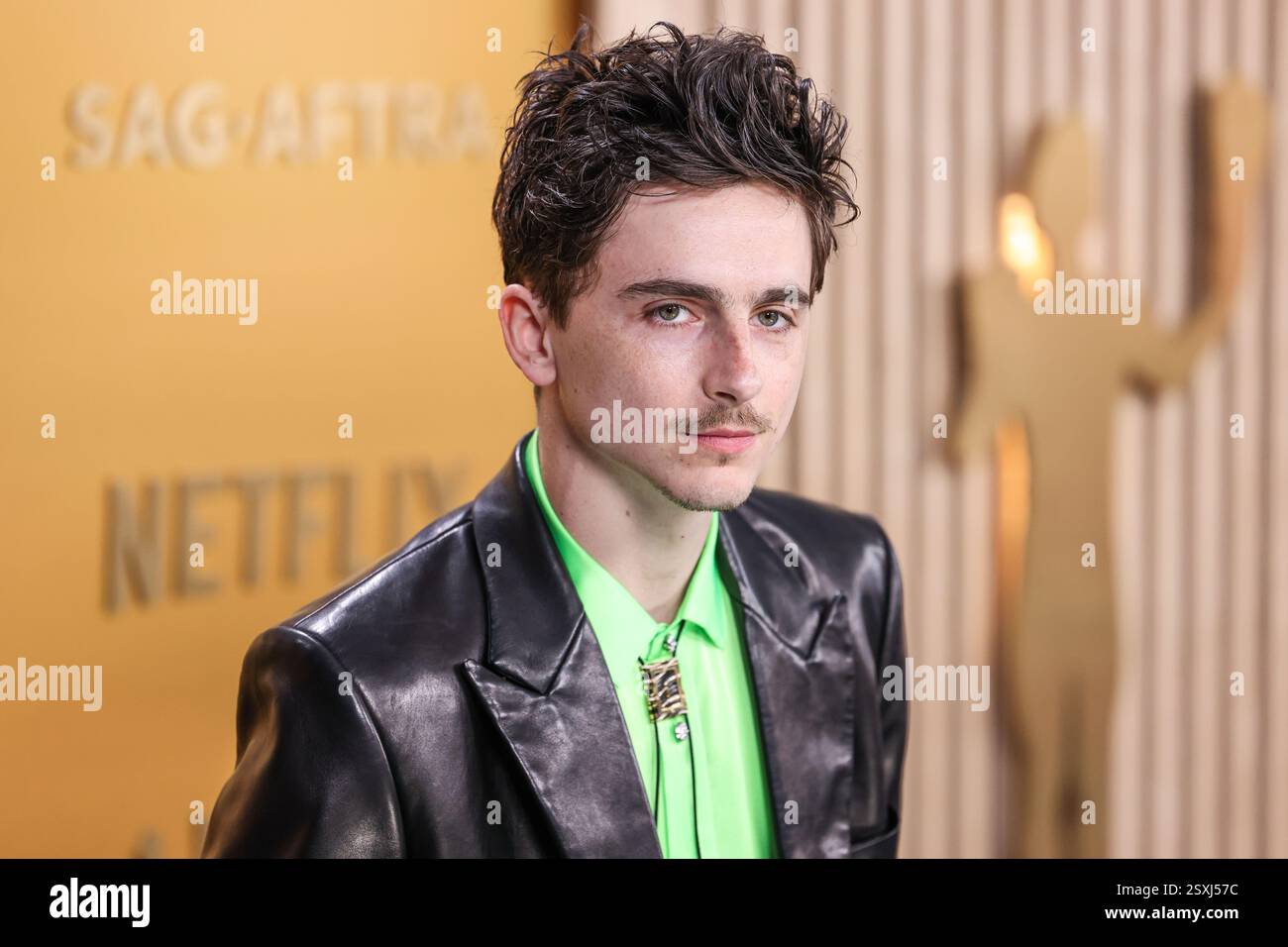 LOS ANGELES, CALIFORNIA, USA - FEBRUARY 23: Timothee Chalamet wearing a ...