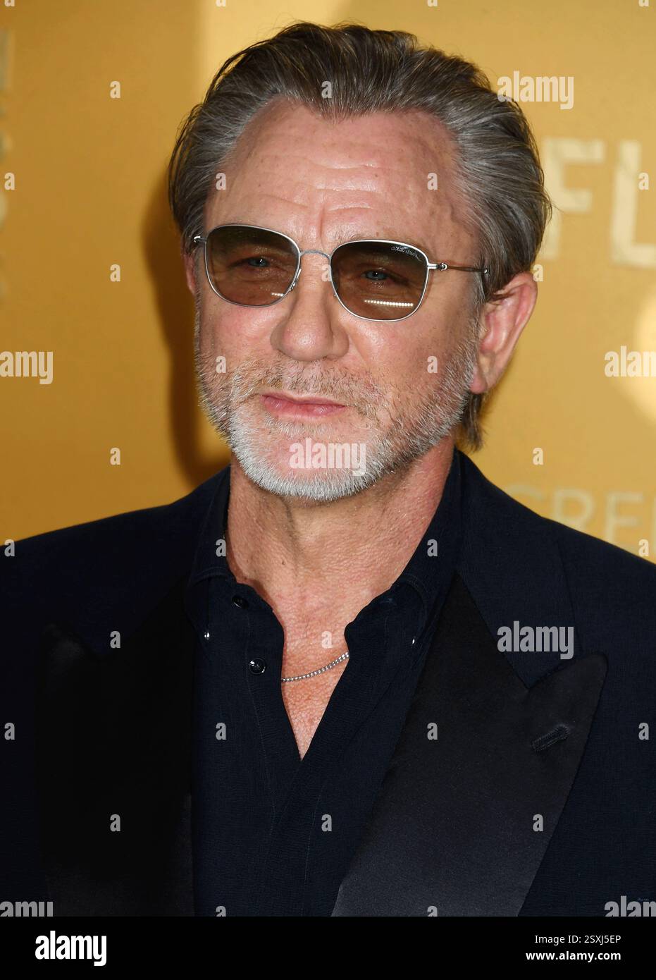 LOS ANGELES, CALIFORNIA - FEBRUARY 23: Daniel Craig attends the 31st ...