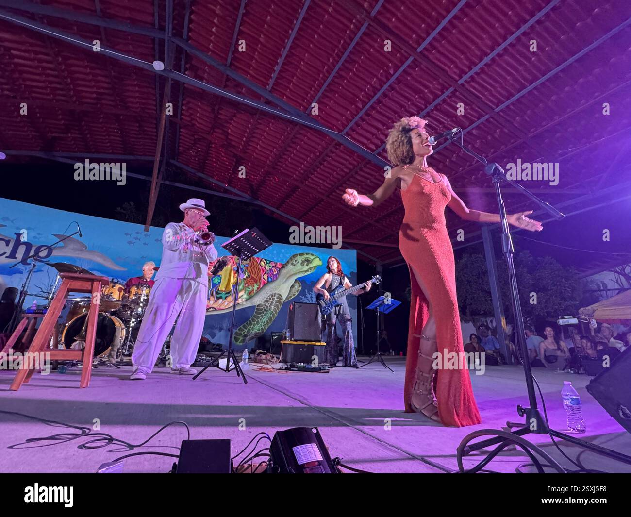 Jeff Oster LIVE performs on stage at day 2 of the San Pancho Music ...