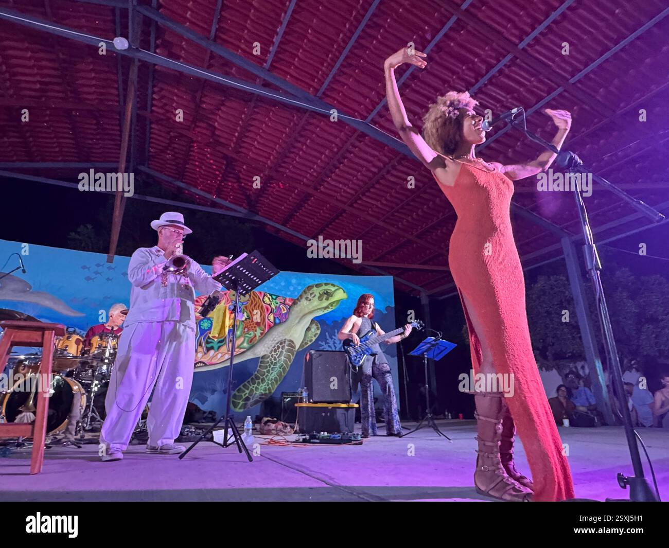 Jeff Oster LIVE performs on stage at day 2 of the San Pancho Music ...