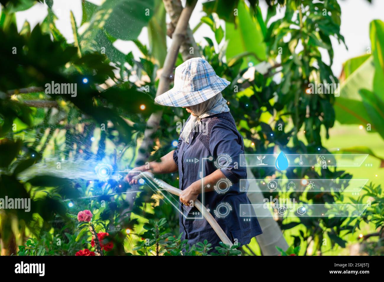 Smart farm digital icon and futuristic AI data infographic of Asian ...