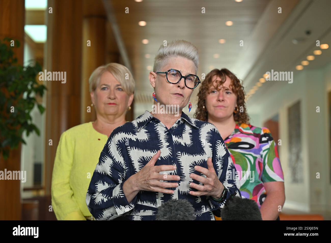 Greens Senator Barbara Pocock, Greens senator Penny Allman-Payne and ...