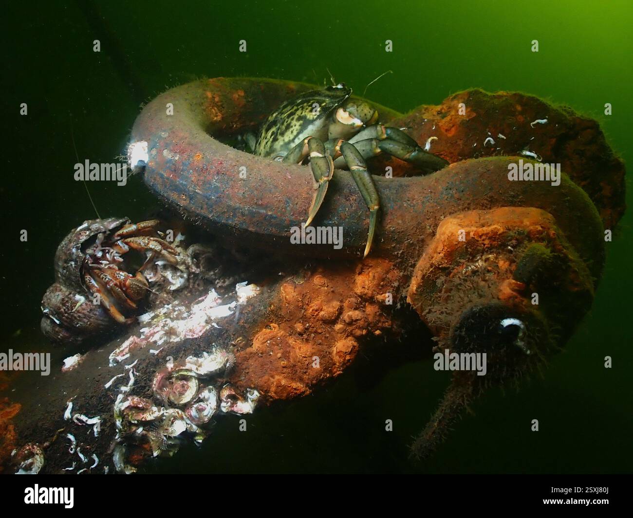 Sarah fanet hi-res stock photography and images - Alamy