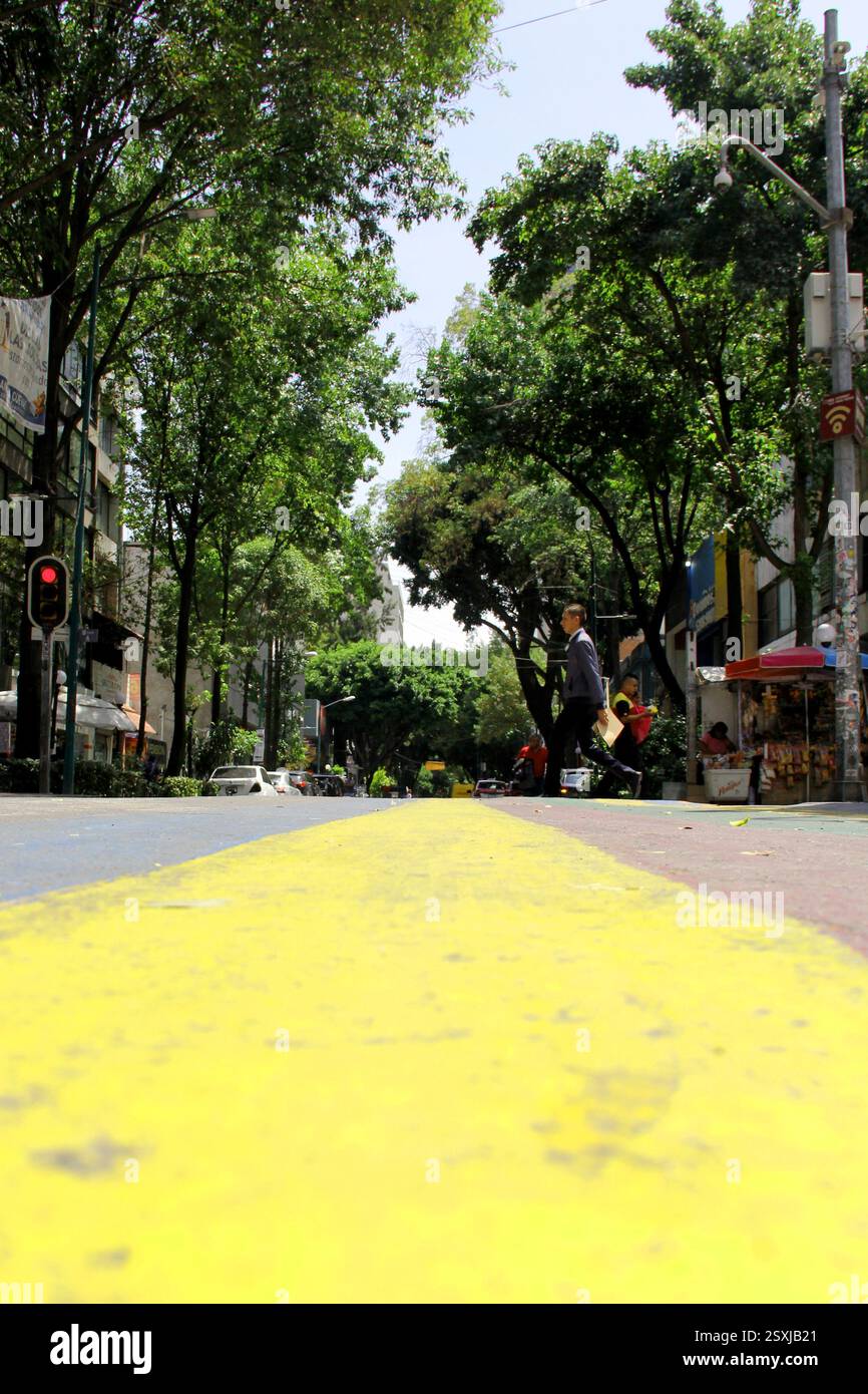Mexico City, Mexico - Jun 12 2024: Pedestrian crossing with the colors ...