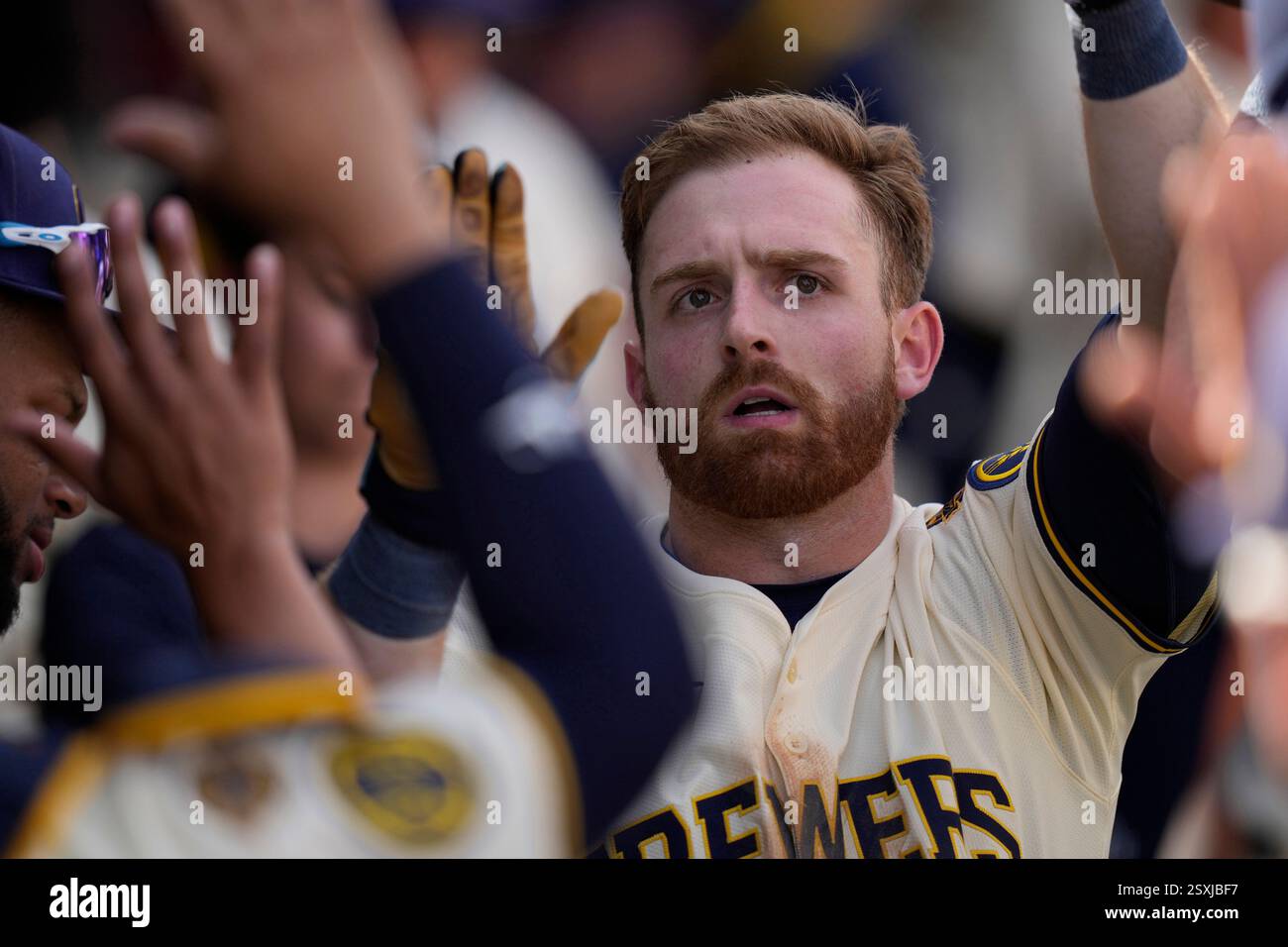 Milwaukee Brewers' Oliver Dunn celebrates with teammates in the dugout ...
