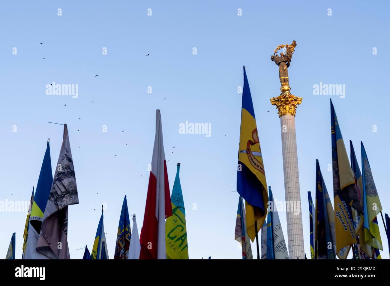 Ukrainian flags flying over hi-res stock photography and images - Alamy