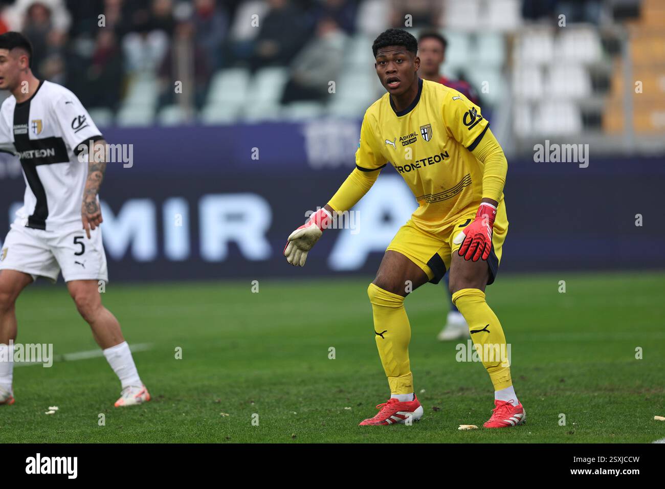 Zion Suzuki (Parma) ; during the Italian "Serie A" match between Parma ...