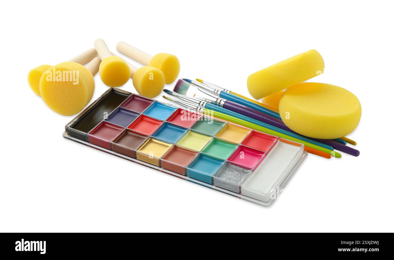 Bright face paint palette, brushes and sponges isolated on white Stock ...