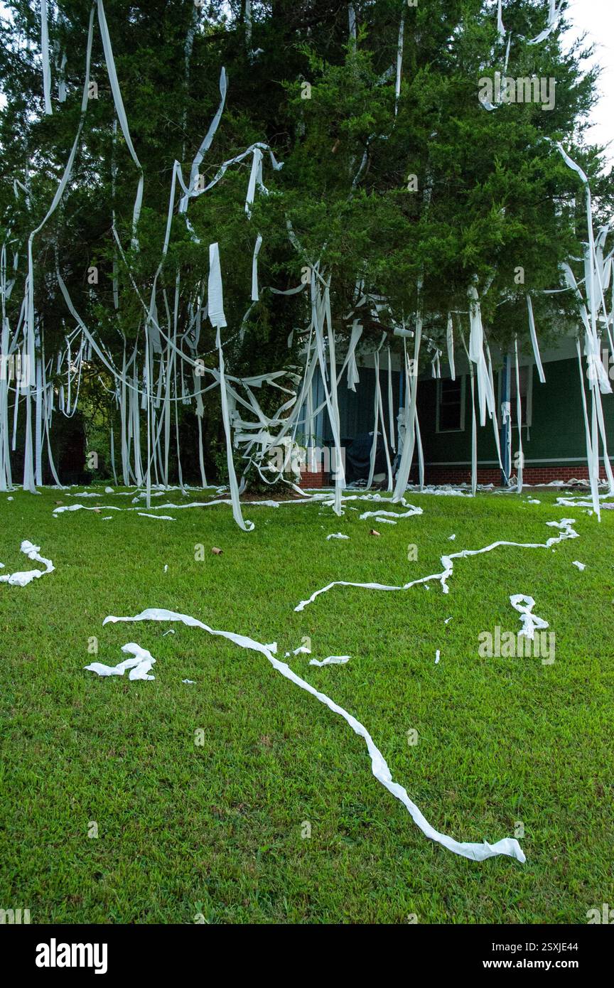 Tree Toilet Papered Stock Photo - Alamy